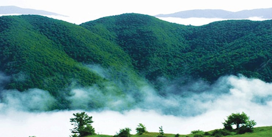 Arsbaran forest - Sunny Iran